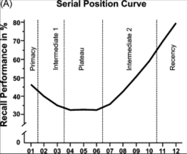 系列位置効果 (Serial Position Effect) とは 意味/解説 | UX心理用語 - 松下村塾
